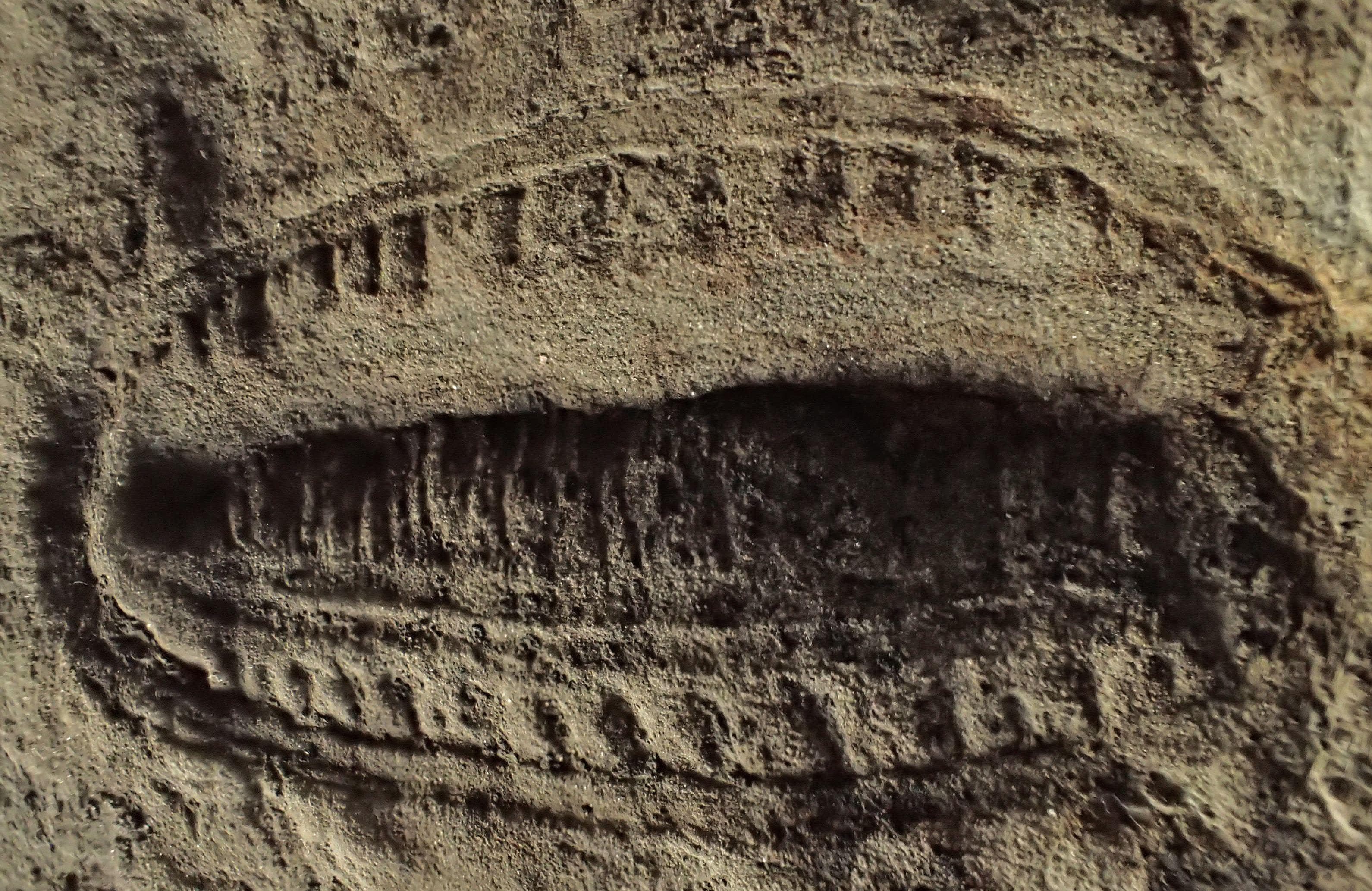 10 Extinction Events That Nearly Wiped Out Life For Good