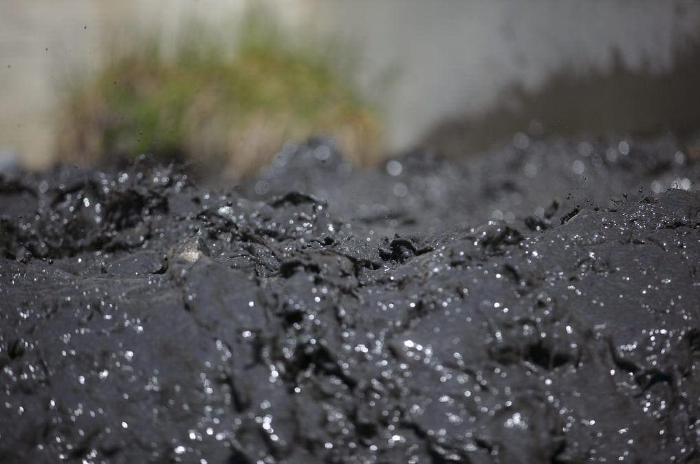 Everything That Went Wrong For The French At The Battle Of Agincourt