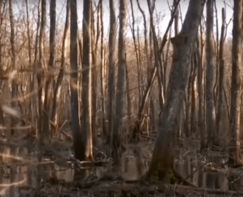 Proof Bridgewater Triangle Is The Focal Point Of Paranormal Phenomena ...