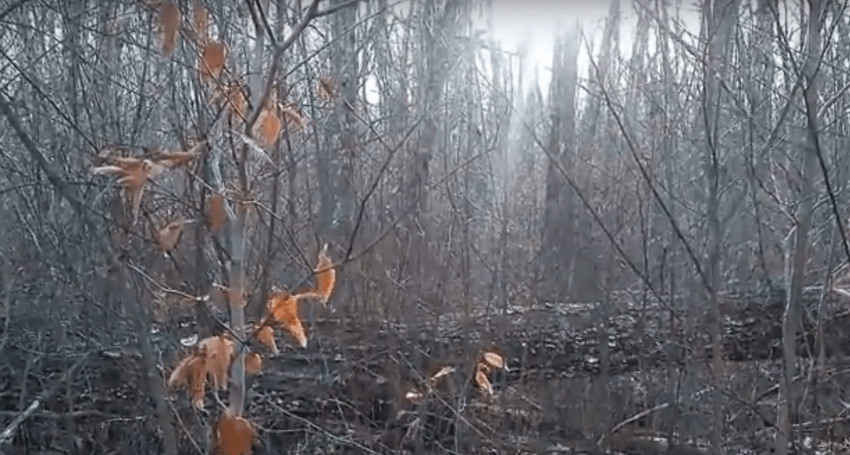 Proof Bridgewater Triangle Is The Focal Point Of Paranormal Phenomena ...