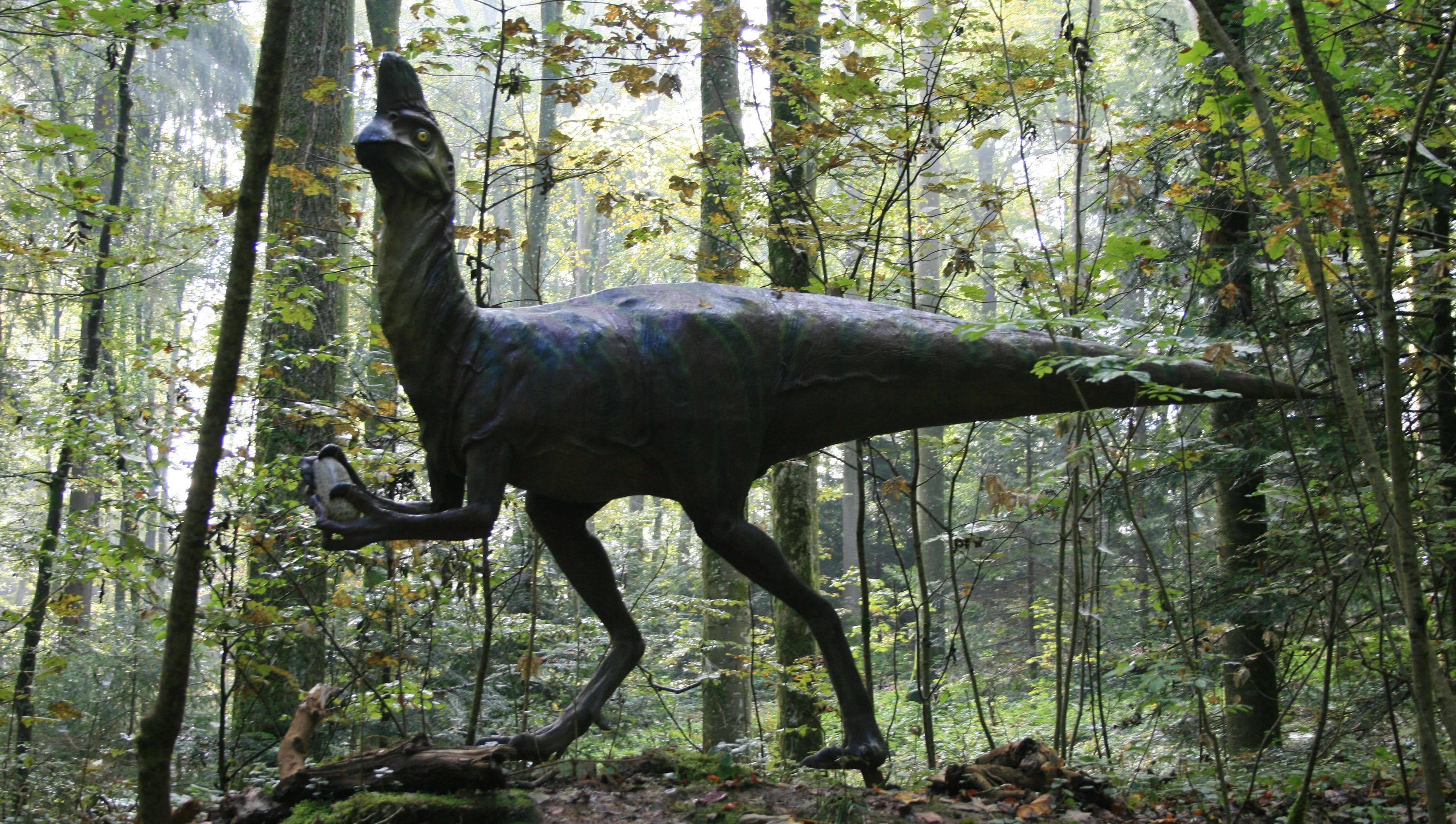 The 15 Most Bizarre Dinosaurs That Ever Existed
