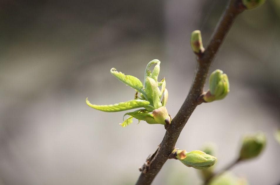 14 Things You Didn't Know About Breatharianism