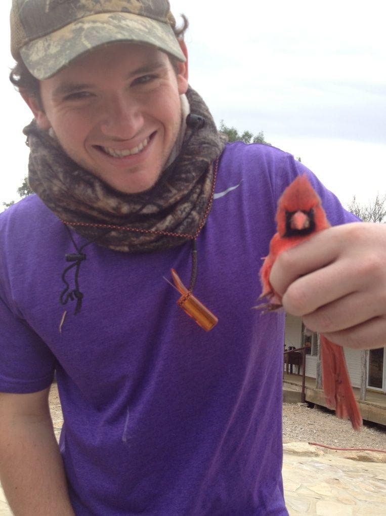 Random Angry Birds That Are Outraged By Your Existence | Best Random Tools