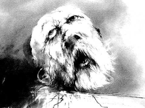 The Scariest Stories From Scary Stories To Tell In The Dark