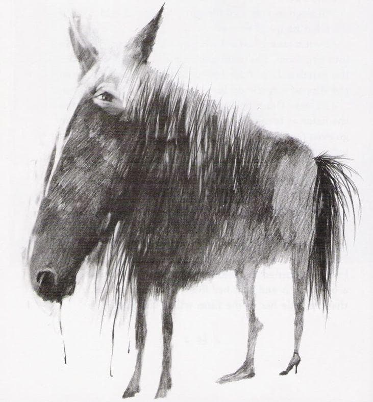 The Scariest Stories From Scary Stories To Tell In The Dark