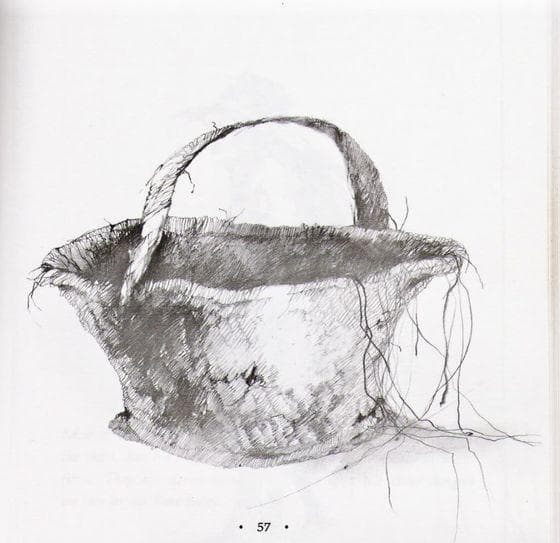 The Scariest Stories From Scary Stories To Tell In The Dark