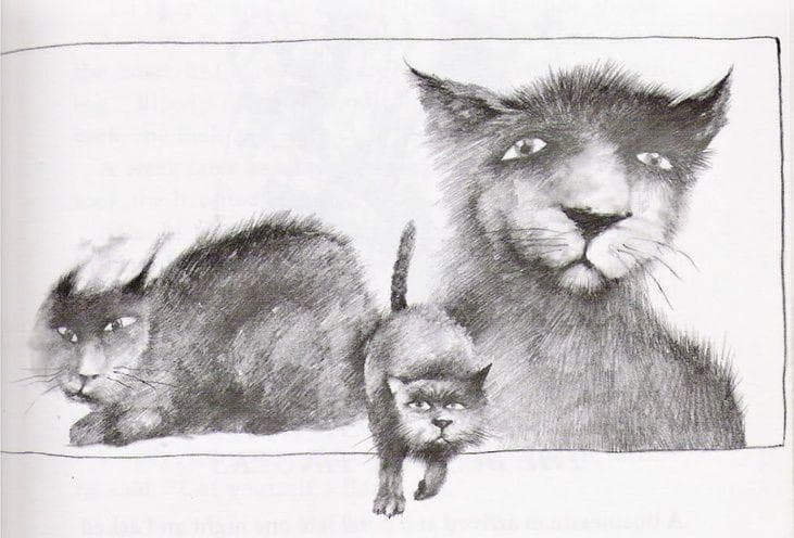 The Scariest Stories From Scary Stories To Tell In The Dark