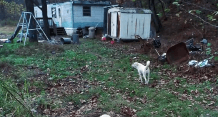 14 Dark Facts About The Consensual Homicide Of Sharon Lopatka ...