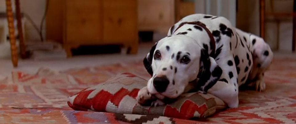 Ways 101 Dalmatians Is An Insane Fever Dream Of A Movie