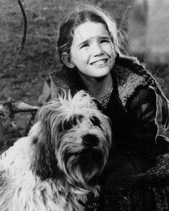 True Facts About Laura Ingalls Wilder And The Real Life Little House On ...