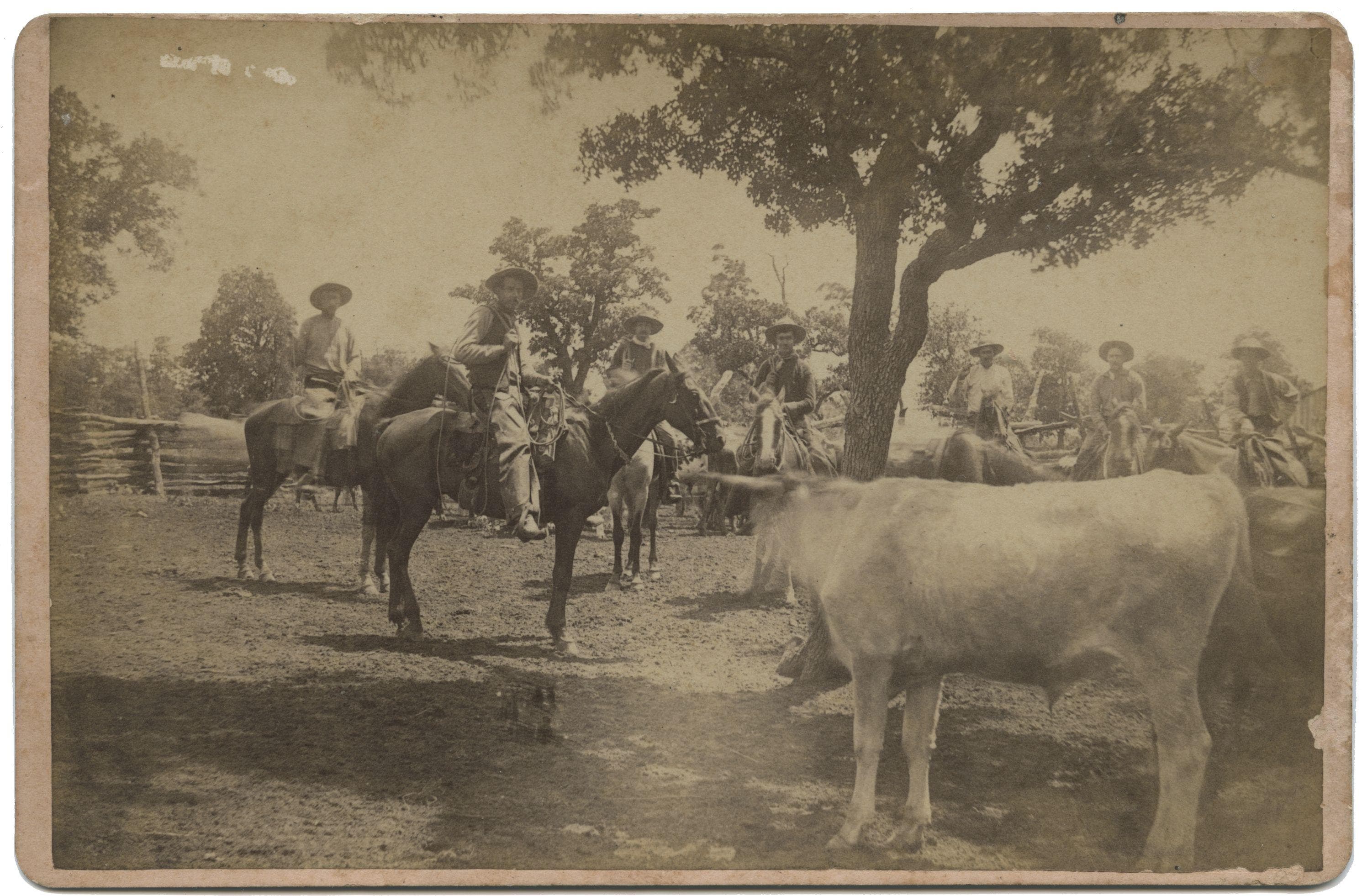 The 15 Most Violent Family Feuds In Human History