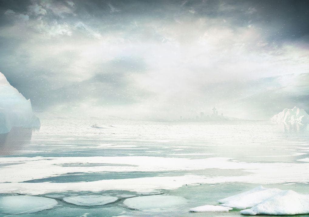 13 Facts About Moss That Are Actually Really Interesting