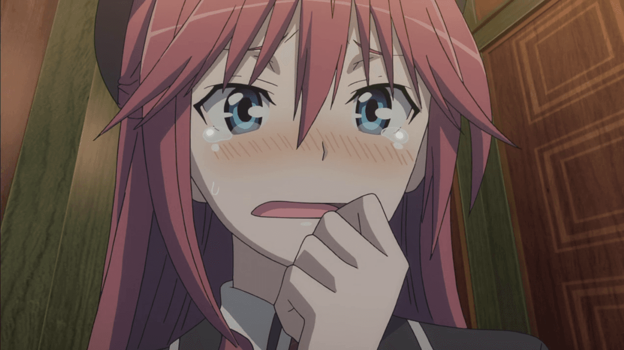 The 15 Types of Harem Girls You Will Encounter in Harem Anime