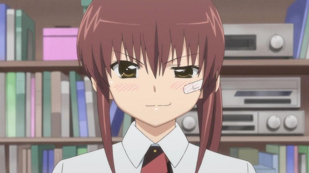 The 15 Types of Harem Girls You Will Encounter in Harem Anime