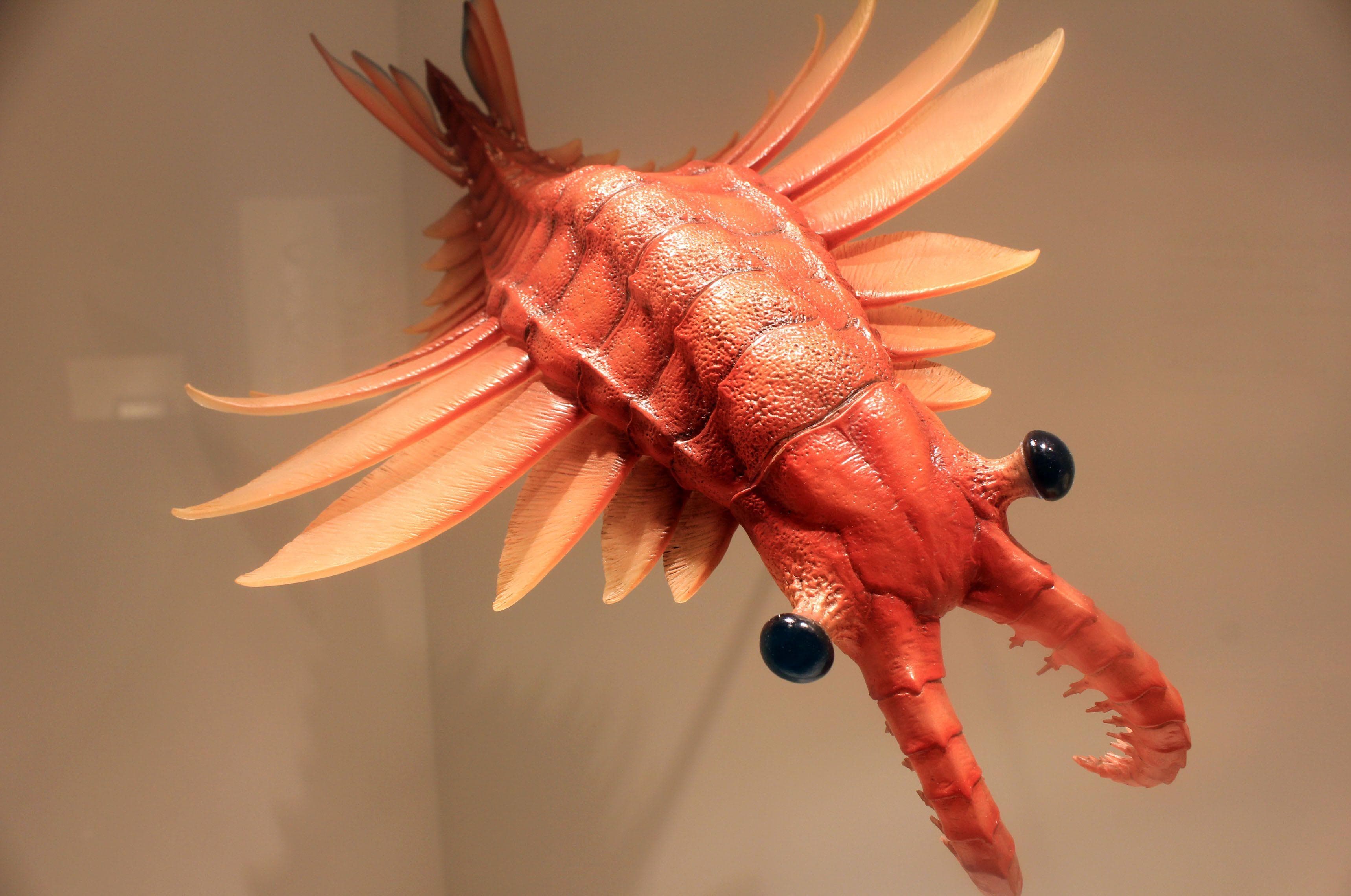 11 Horrifying Creatures That Existed Before The Cambrian Explosion