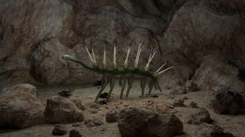 11 Horrifying Creatures That Existed Before The Cambrian Explosion
