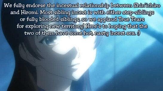 22 Hilarious Translator Notes In Anime Subtitles
