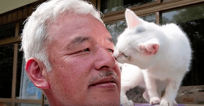 9 Animals That Live In Radioactive Fukushima