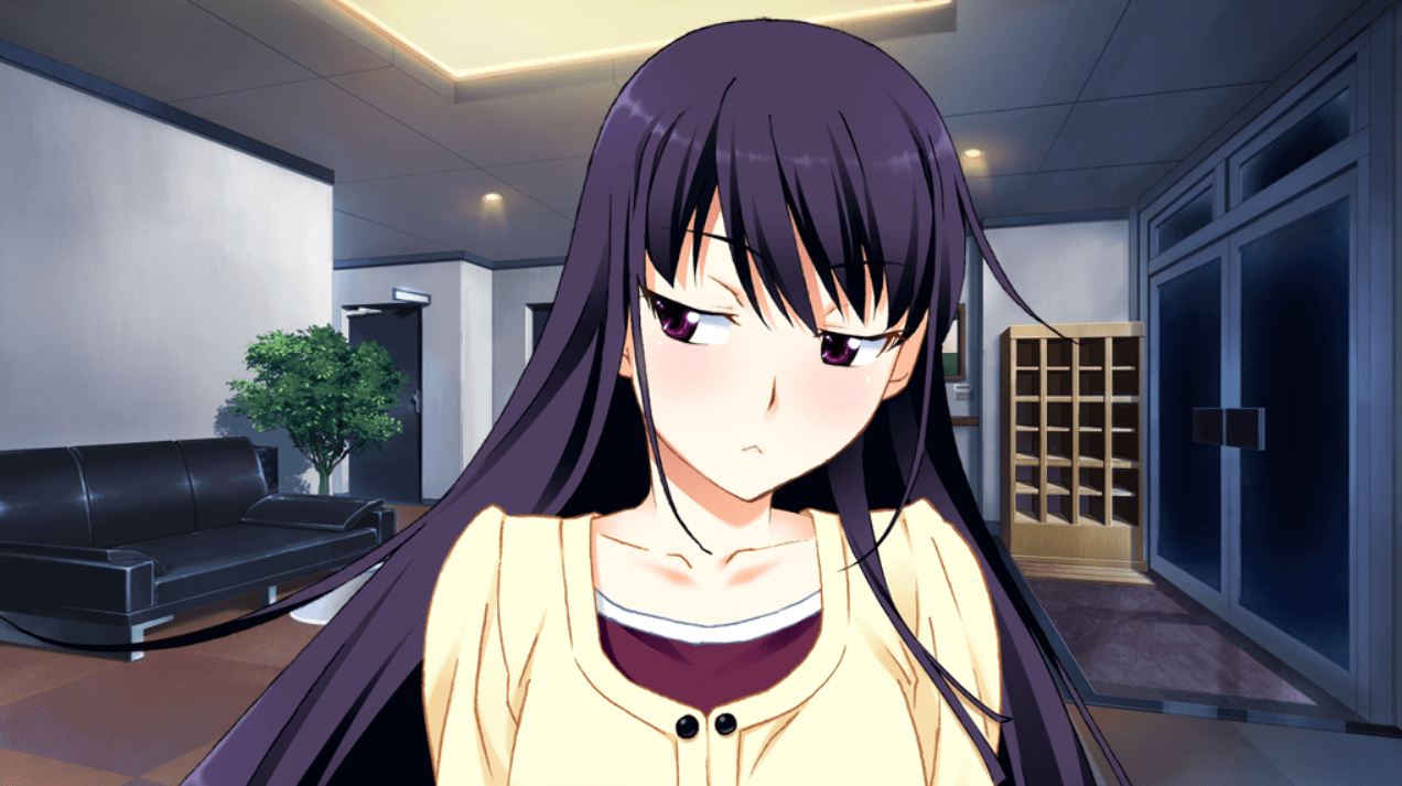 The 15 Types of Harem Girls You Will Encounter in Harem Anime