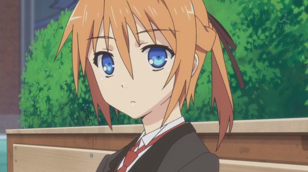 The 15 Types of Harem Girls You Will Encounter in Harem Anime