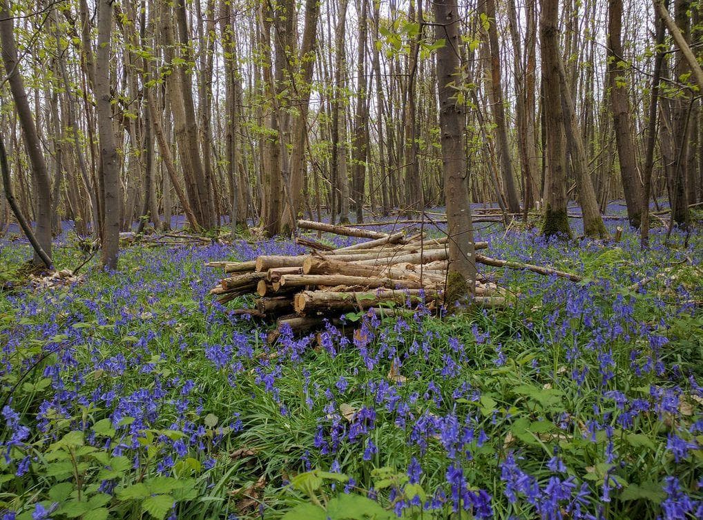 13 Mysterious Details About The Allenstown Four