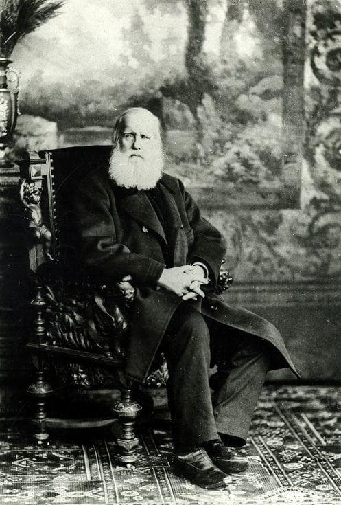The Wonderful And Oddly Tragic Life Of Pedro II, The Reluctant Emperor ...