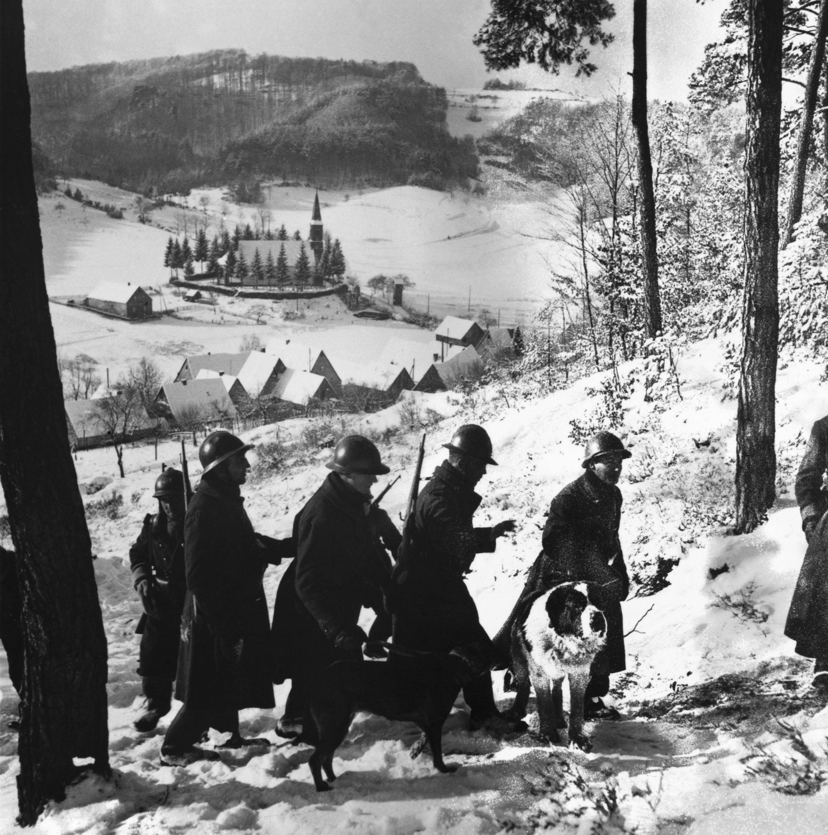 16 Rare Pictures Of Dogs During World War II