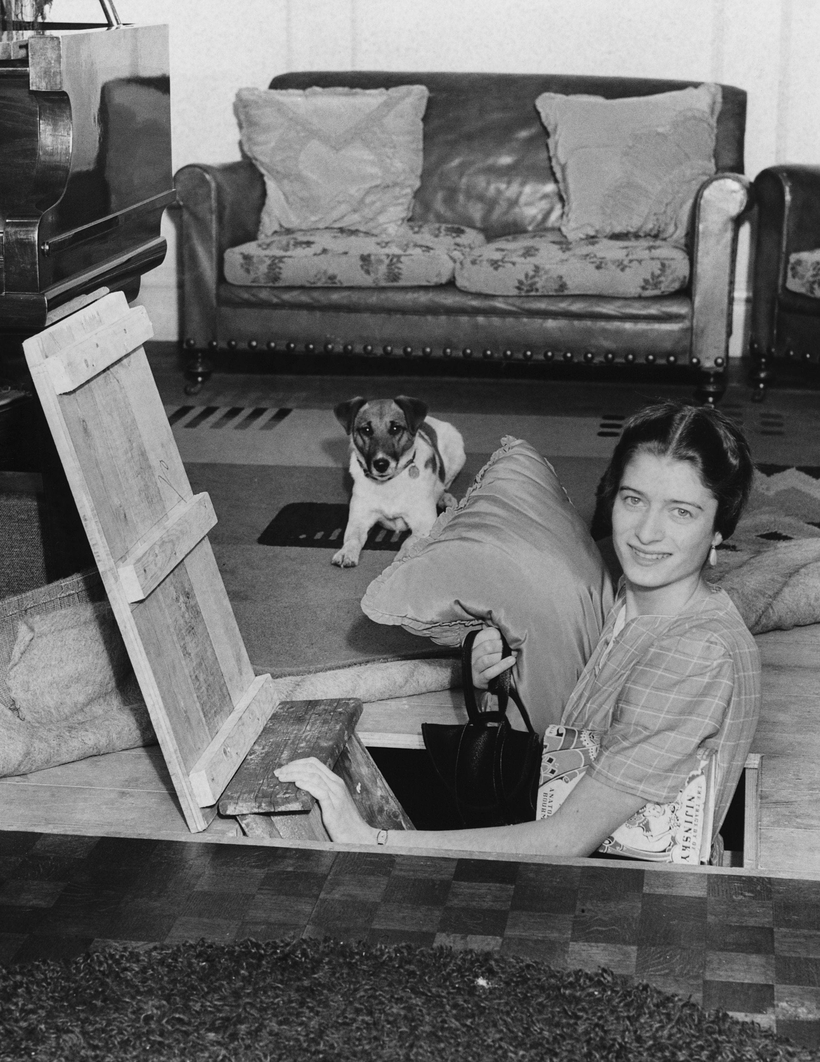 16 Rare Pictures Of Dogs During World War II