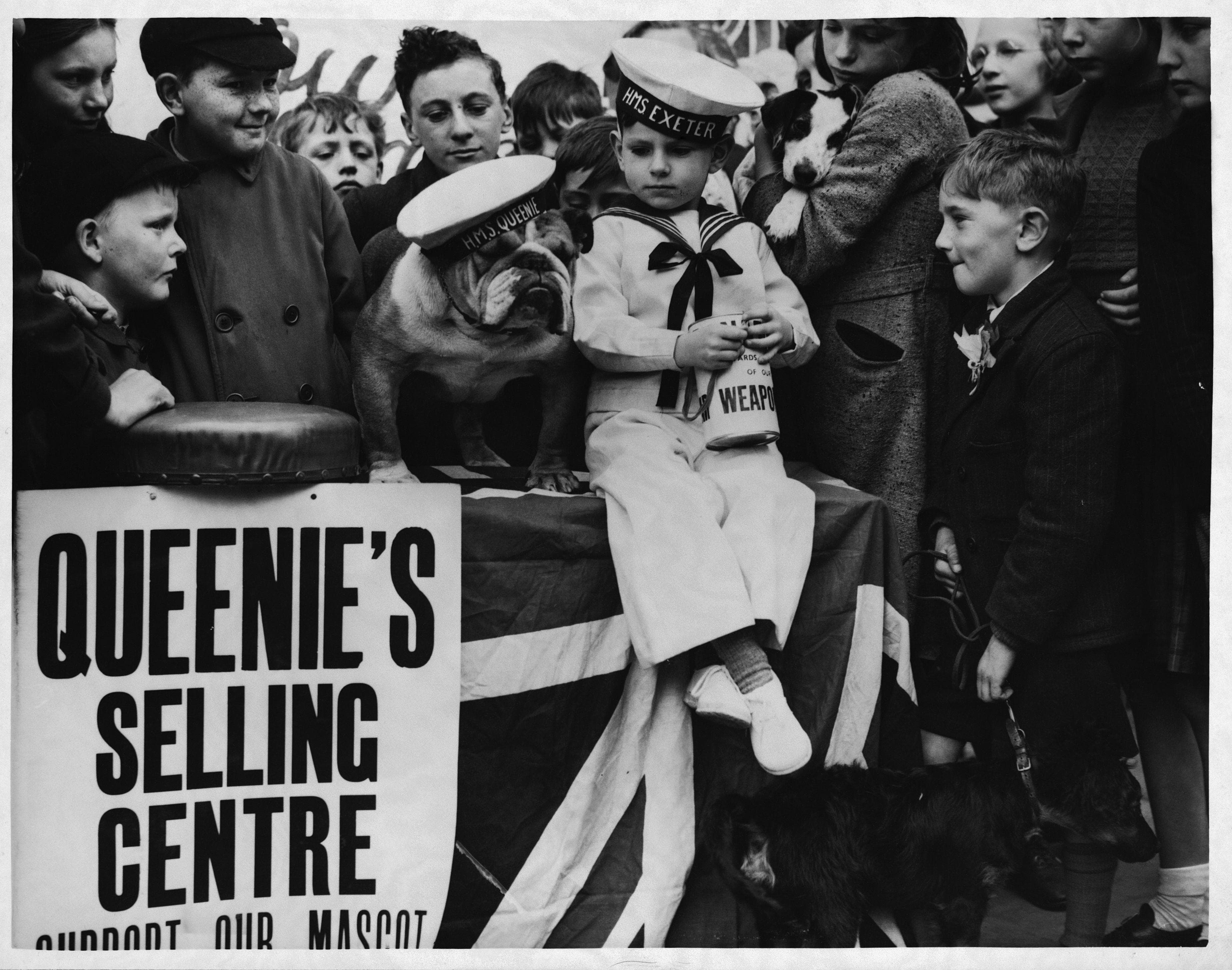 16 Rare Pictures Of Dogs During World War II