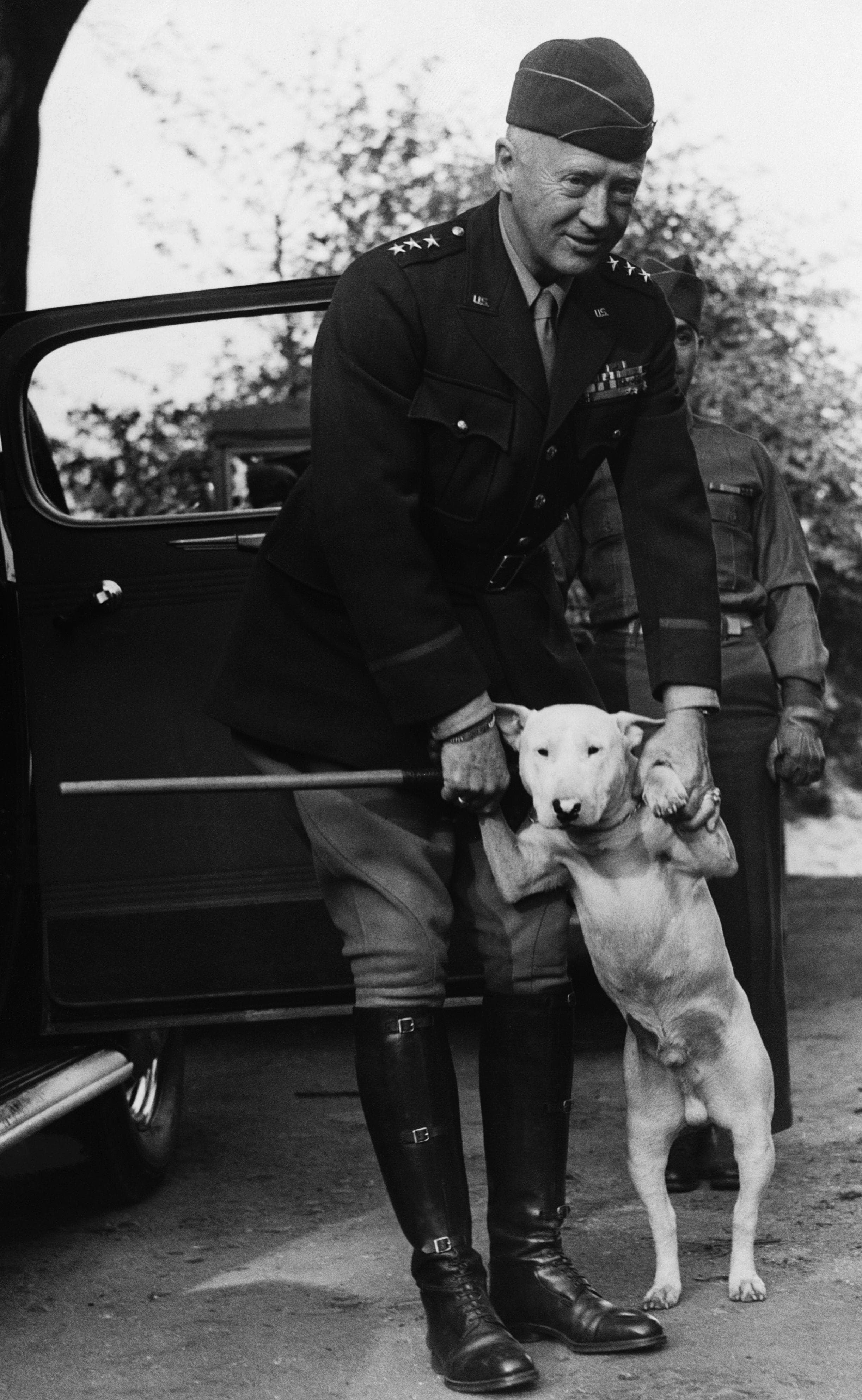 16 Rare Pictures Of Dogs During World War II