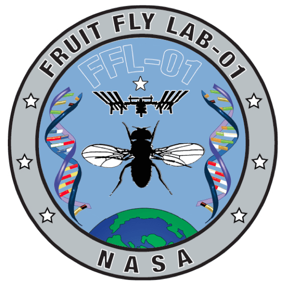 Unknowingly Heroic Animals Who Explored The Final Frontier During The ...