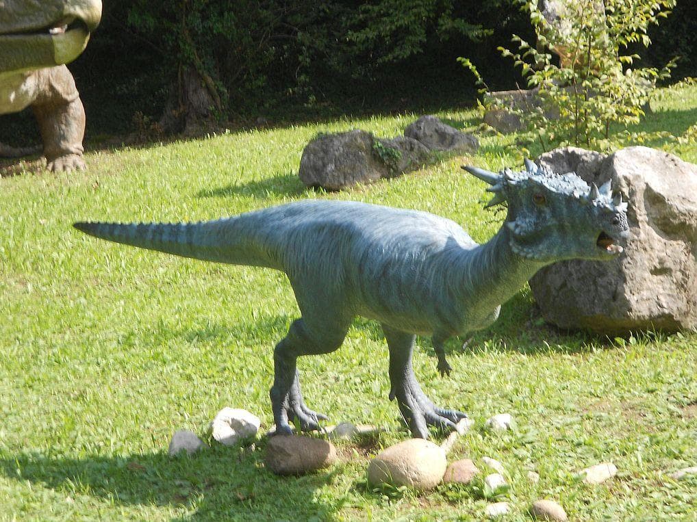 Meet Dracorex Hogwartzia, The Most Amazing Dinosaur You’ve Never Heard Of