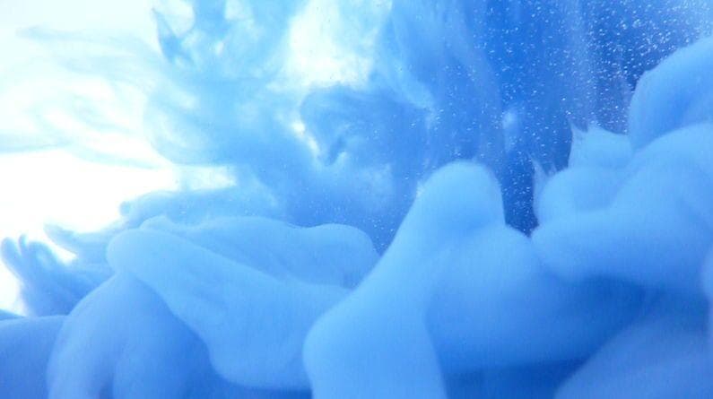 10 Things Most People Don't Know About Pill Bugs