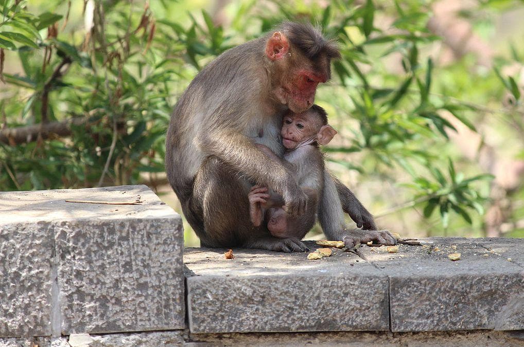 Facts About Animals In Captivity You Might Just Wish You Didn't Know