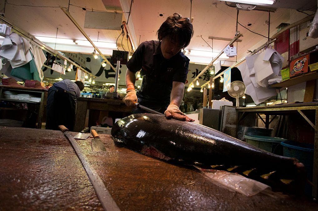26 Super Nifty Pictures From The Tsukiji Fish Market