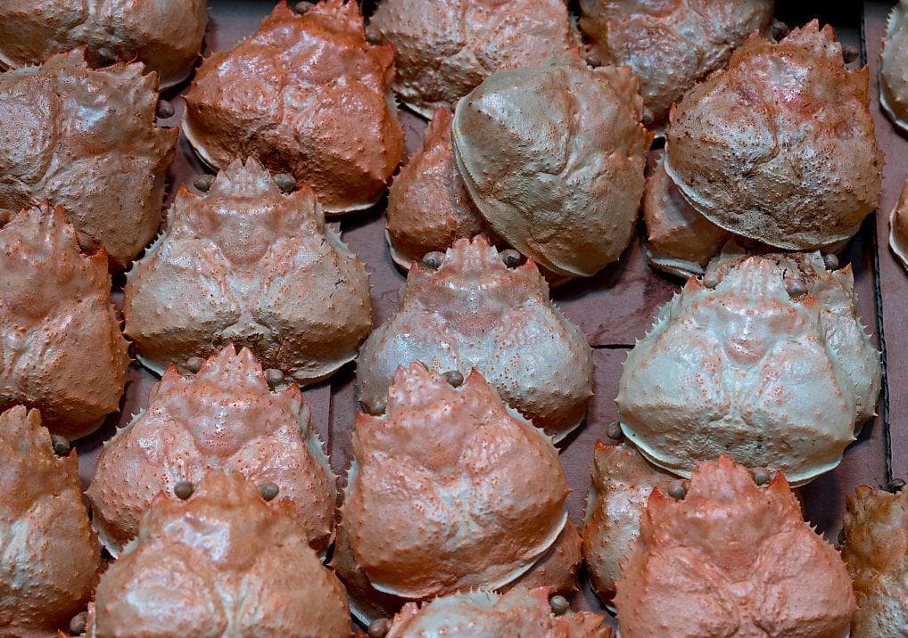 26 Super Nifty Pictures From The Tsukiji Fish Market