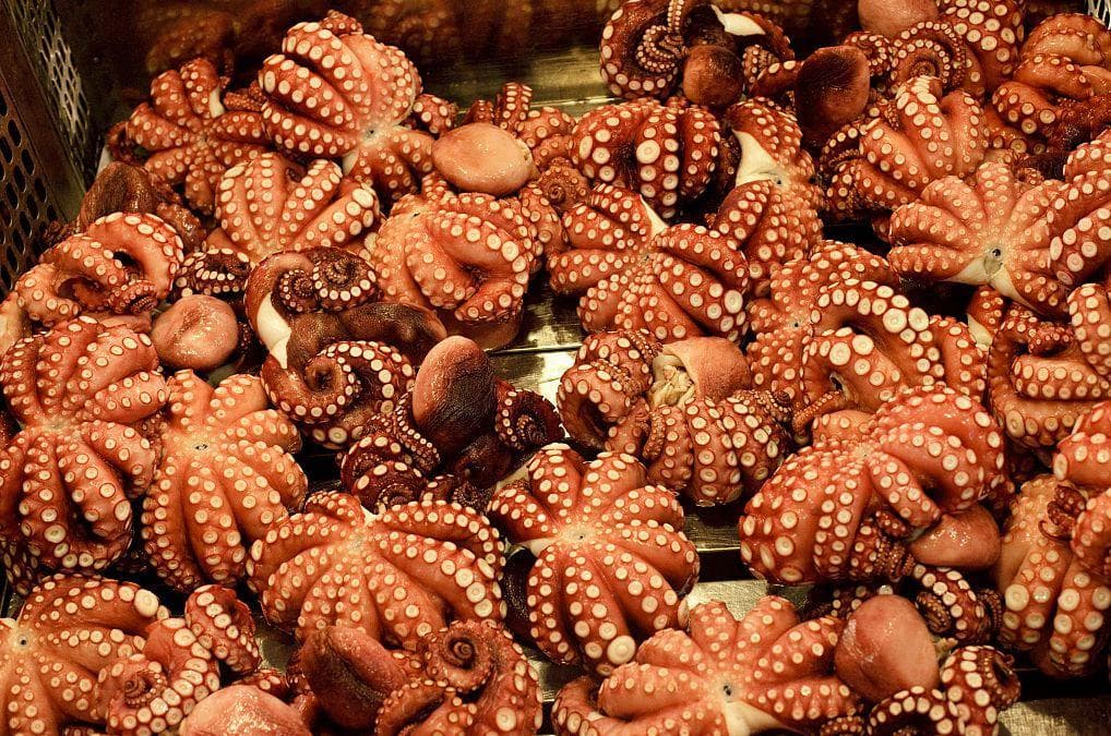 26 Super Nifty Pictures From The Tsukiji Fish Market