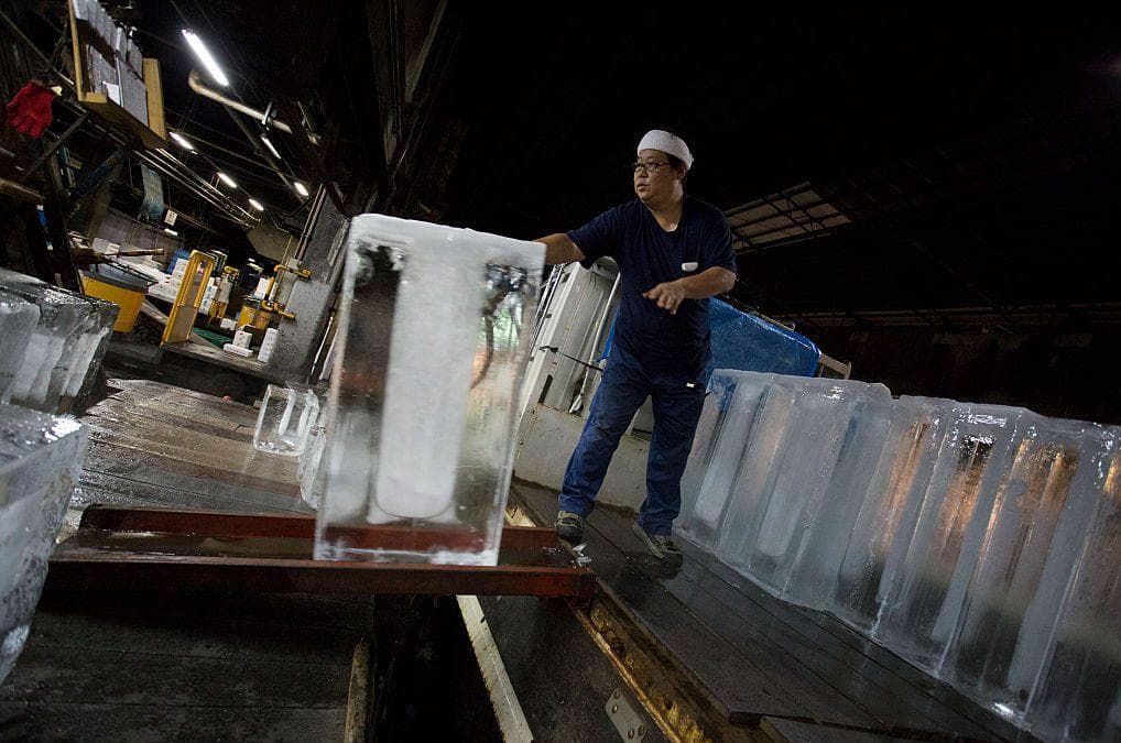 26 Super Nifty Pictures From The Tsukiji Fish Market
