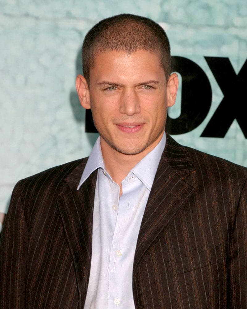 Wentworth Miller's Dating and Relationship History