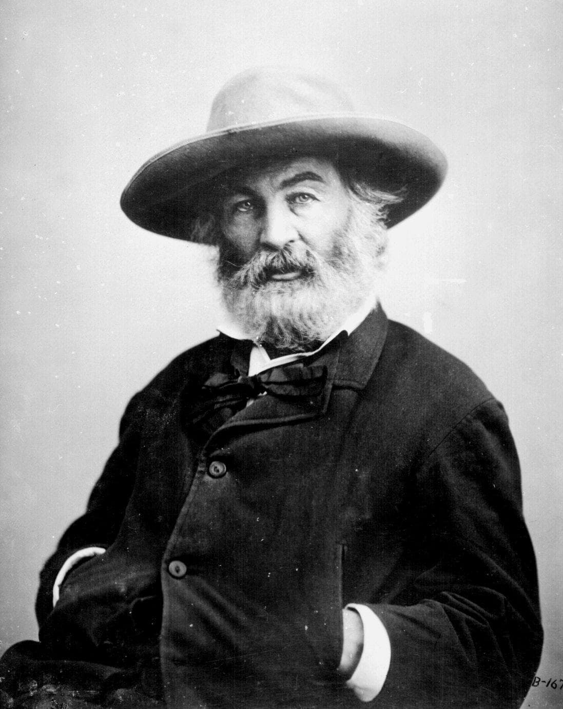 Things You Definitely Didn't Learn About Walt Whitman In History Class