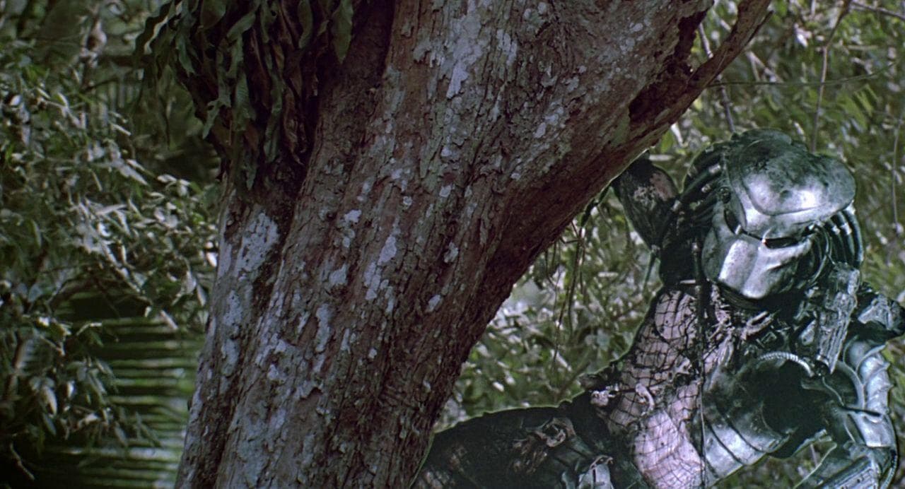 'Predator' Behind-The-Scenes Stories And Details