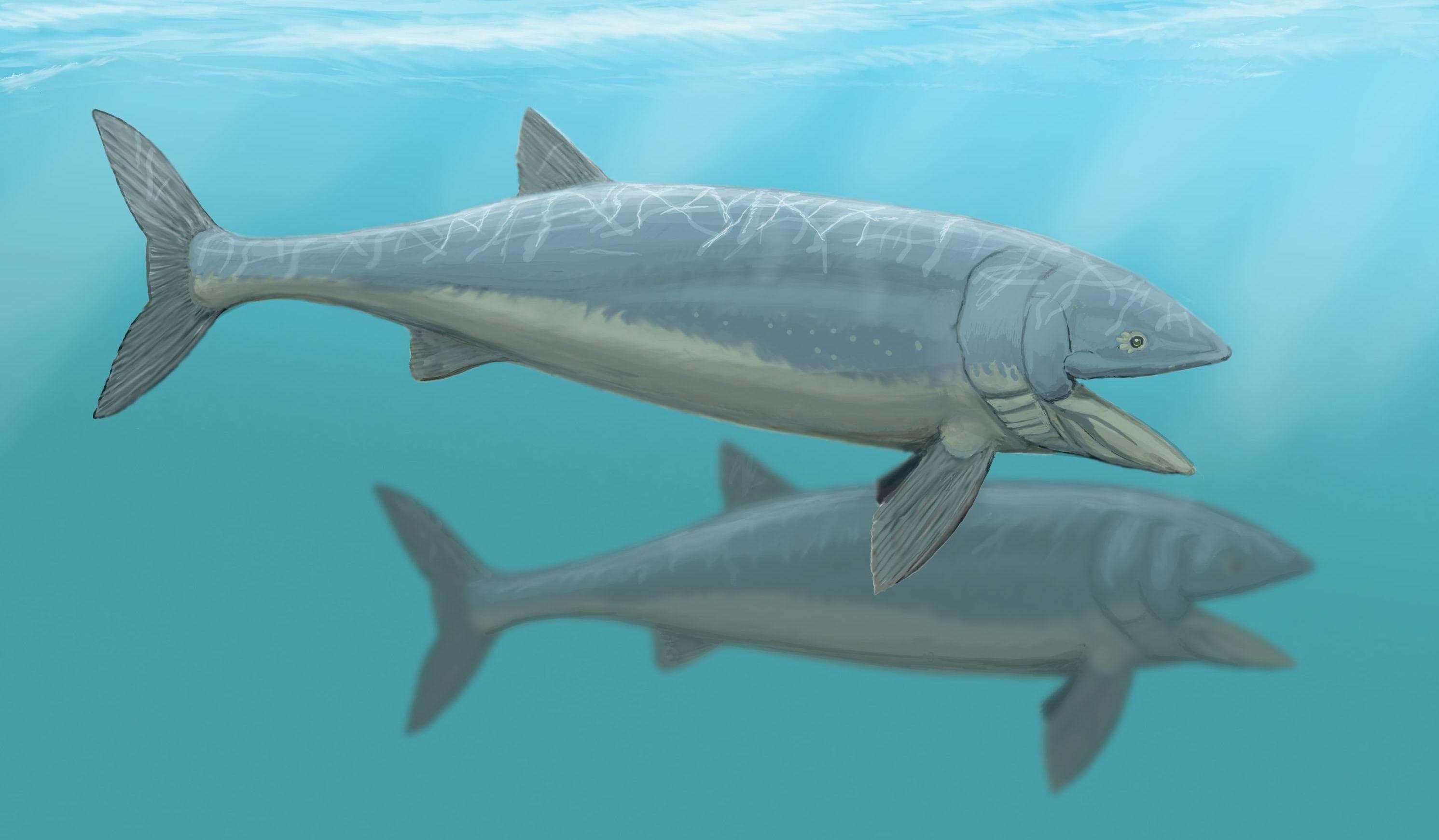 Prehistoric Sea Animals