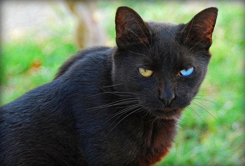 Creepiest Ghost Stories From Washington DC