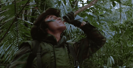 Predator Fan Theories
