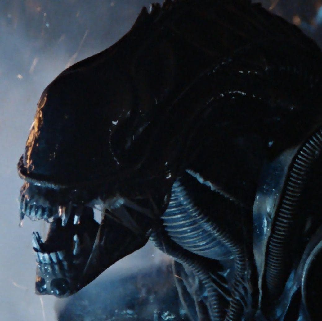 13 Crazy Yet Plausible Fan Theories About Firefly