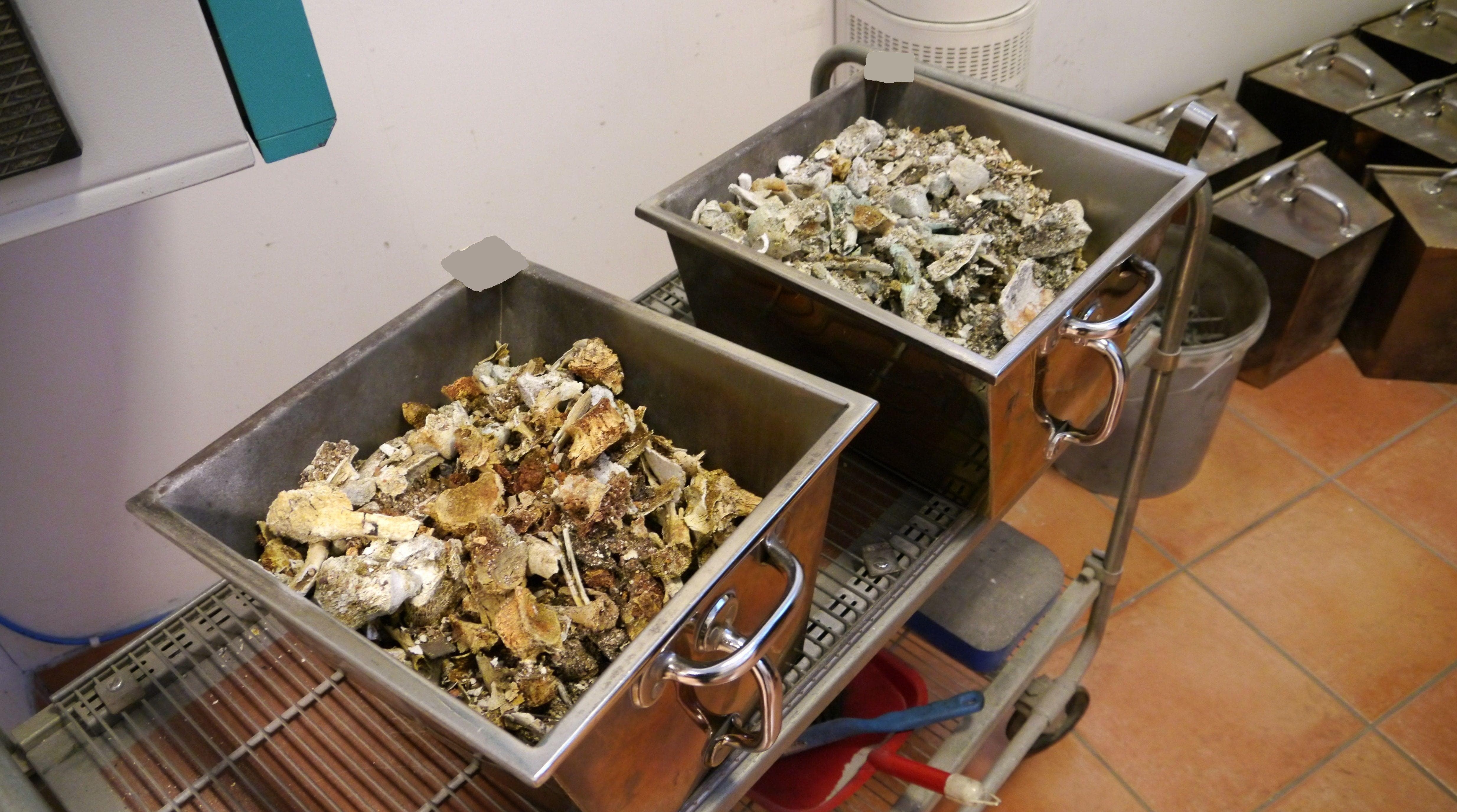 What Actually Happens In A Crematorium?