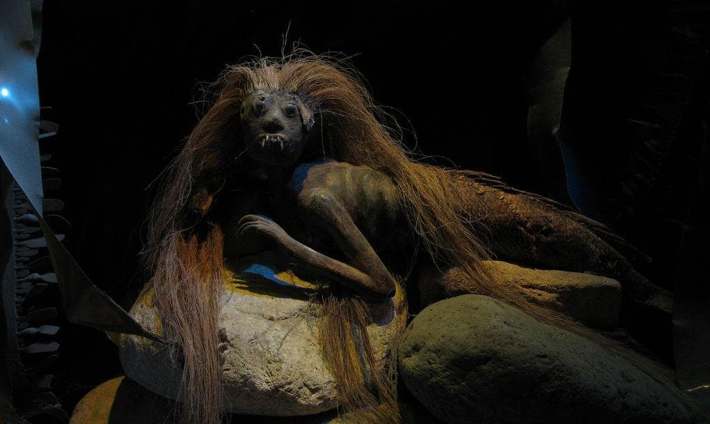 Animals That Were Actually Hoaxes