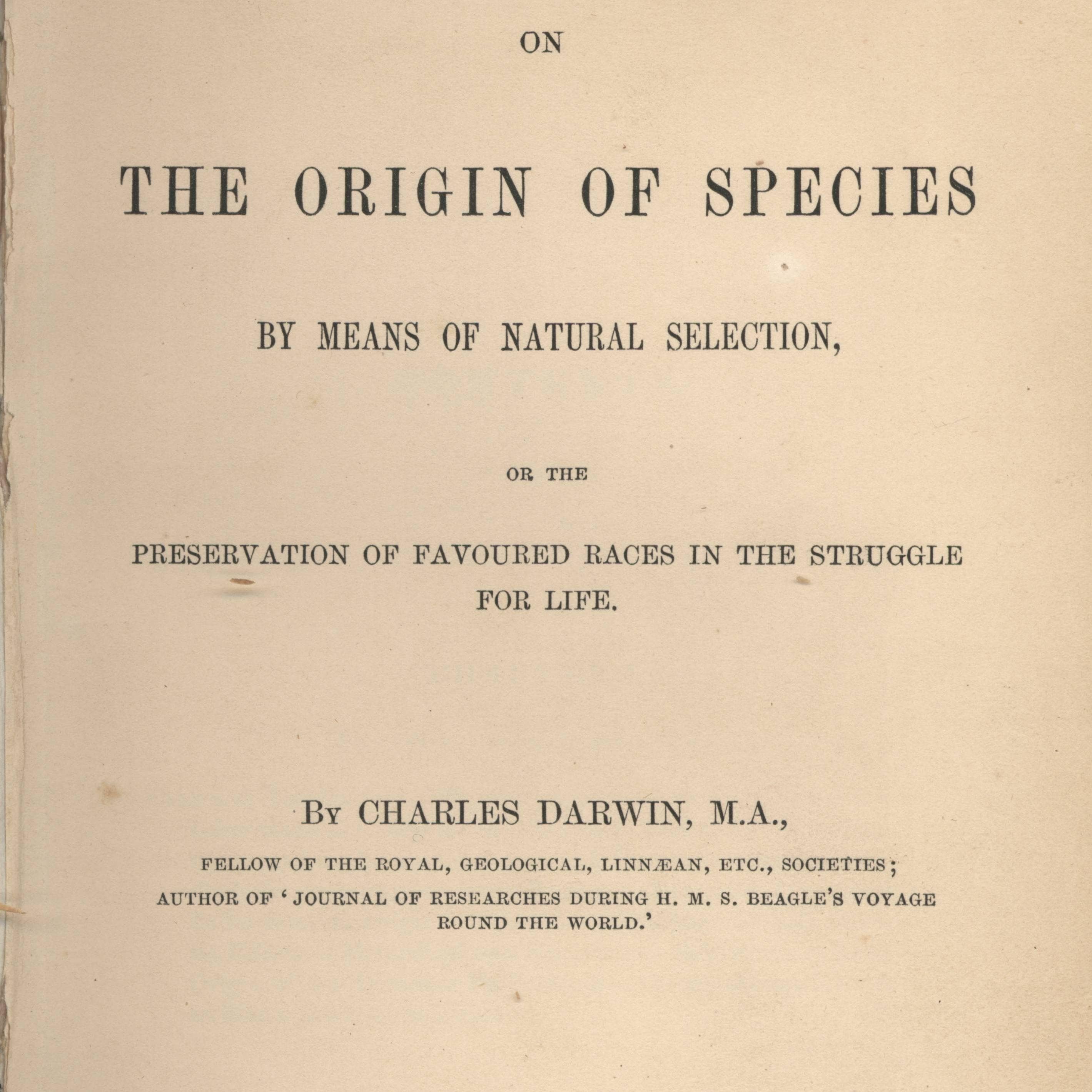 What Happened Immediately After The Theory Of Evolution Was Published