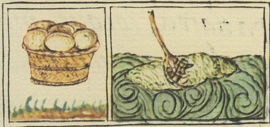 What Everyday Life Was Like For Aztecs