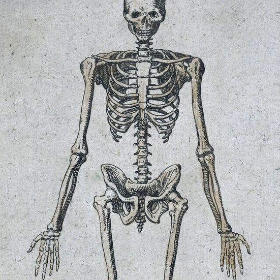 The Worst Things People Did To Themselves In The Name Of Medical Science: